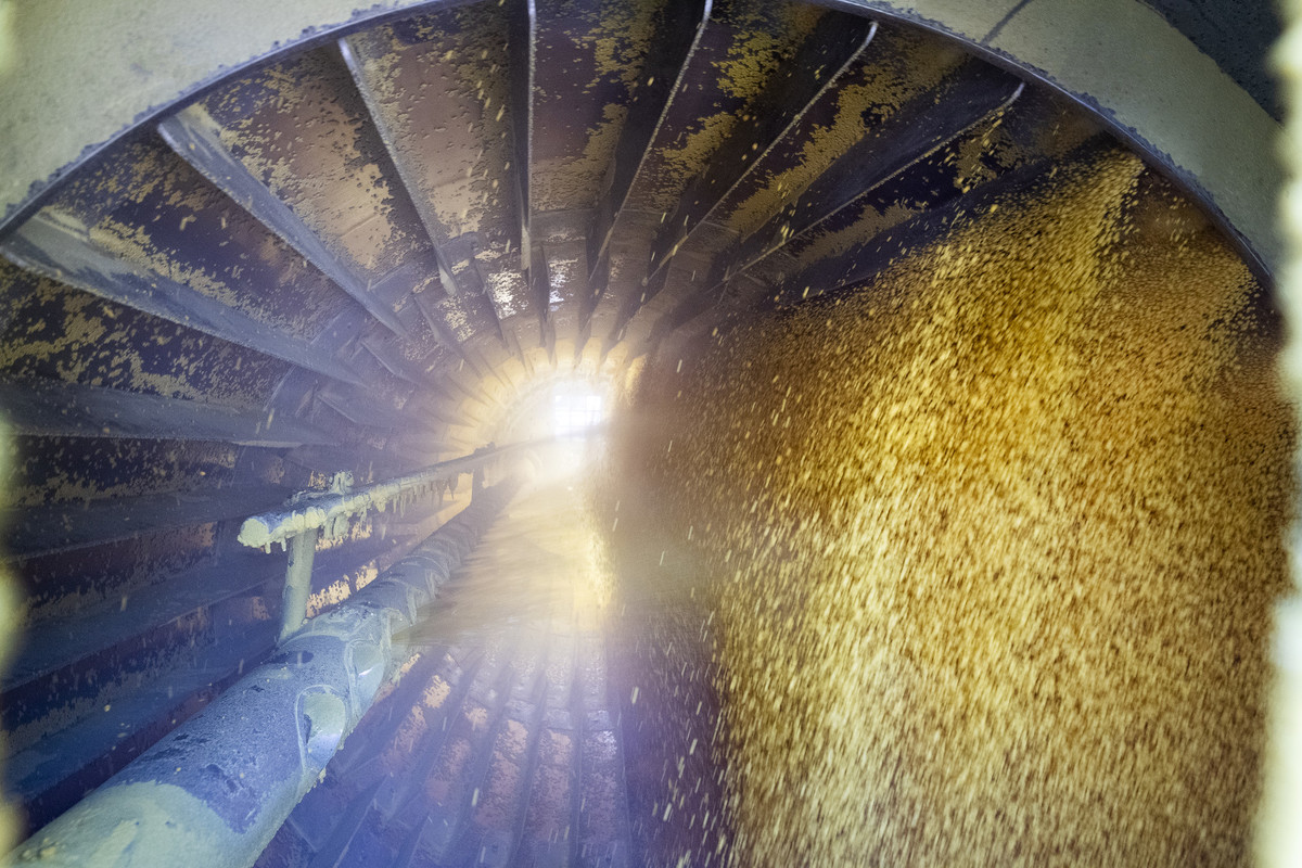 Sulphur Conference - IPCO