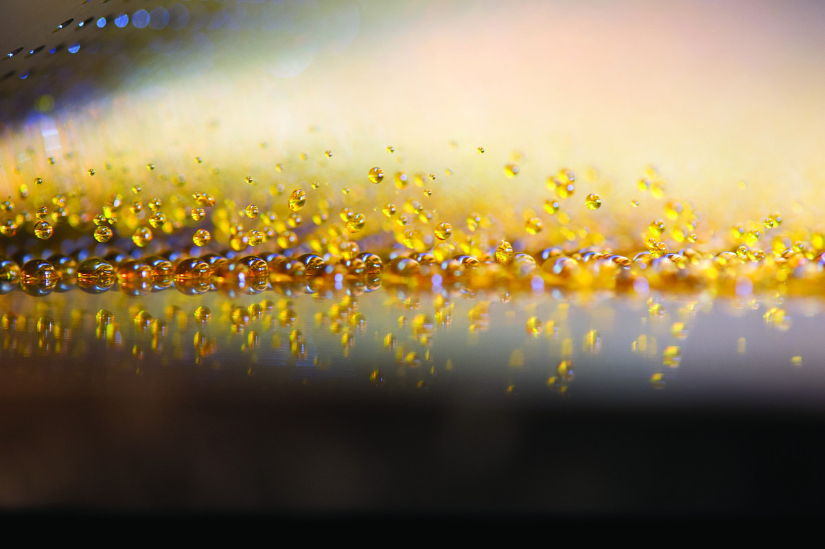 Sulphur Conference - IPCO